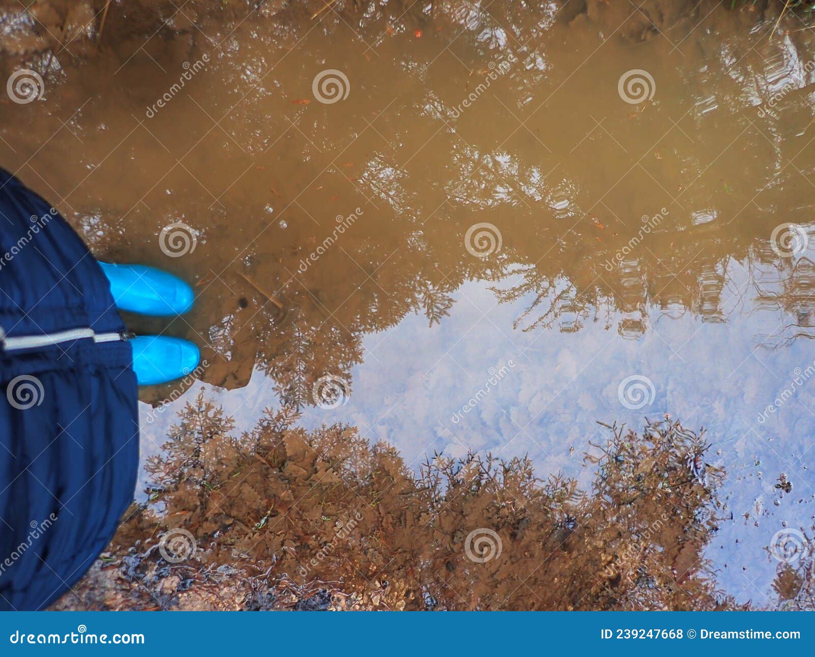 Spring Puddle.puddle Walk. Feets in Blue Rubber Boots in Spring Water ...