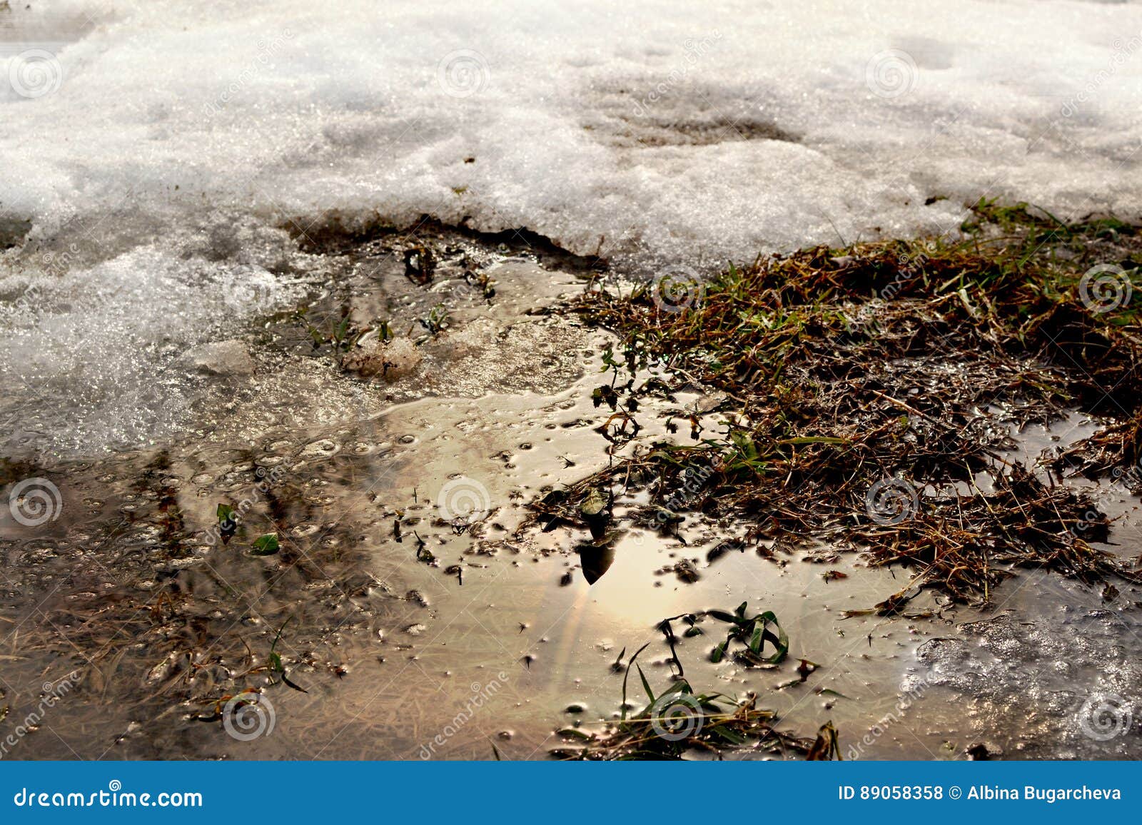 Spring puddle reflections stock photo. Image of reflecting - 89058358
