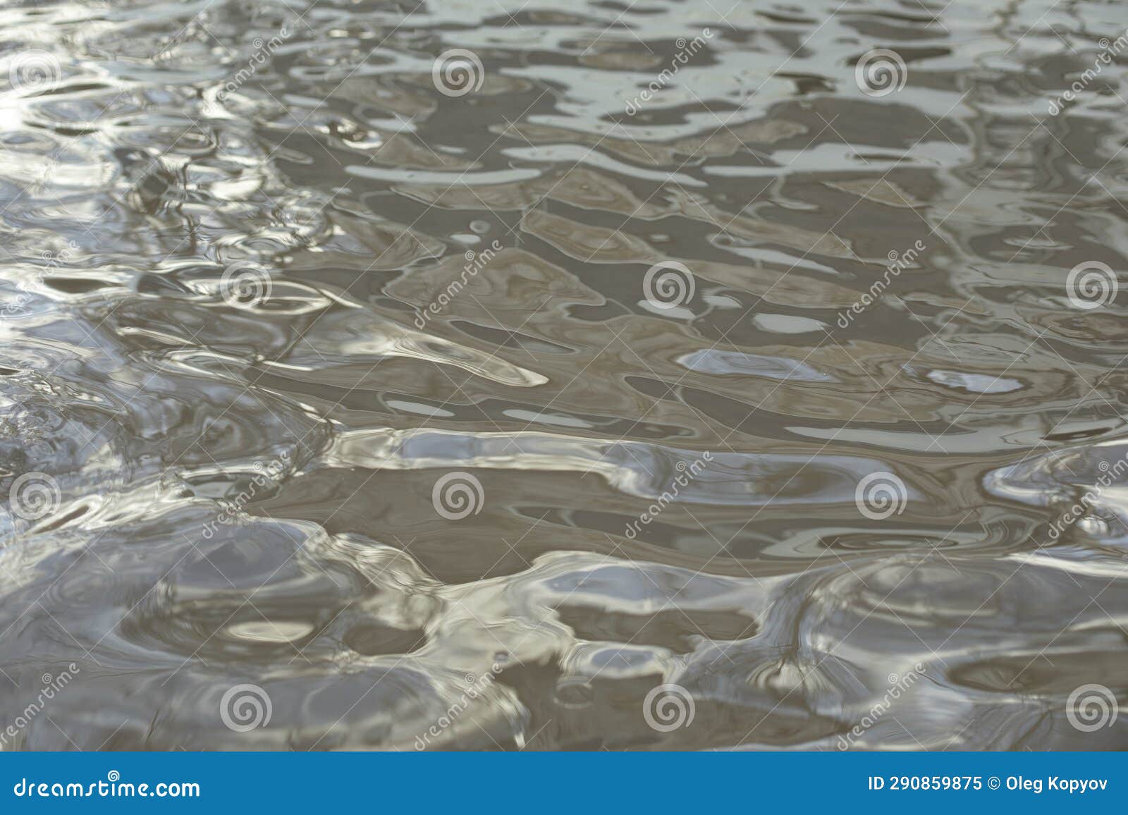 Spring Puddle. Texture of Water in Pond Stock Image - Image of color ...