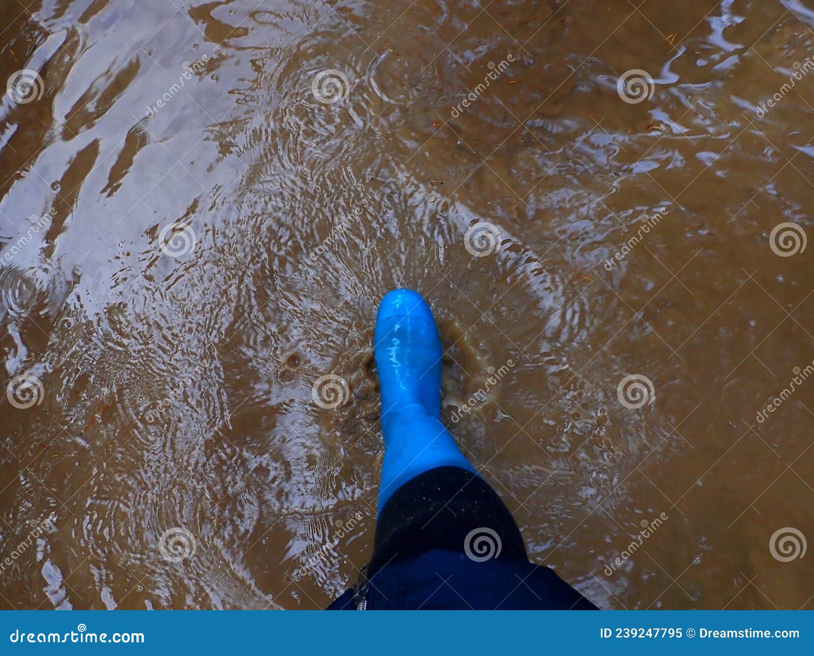 Spring Puddle.puddle Walk. Feets in Blue Rubber Boots in Spring Muddy ...