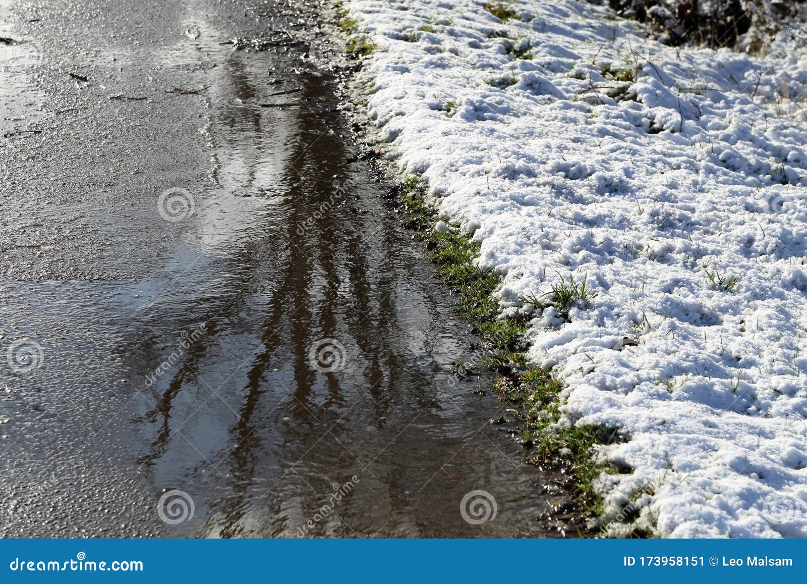 Spring Puddles with Reflections of Trees in Them Stock Image - Image of ...