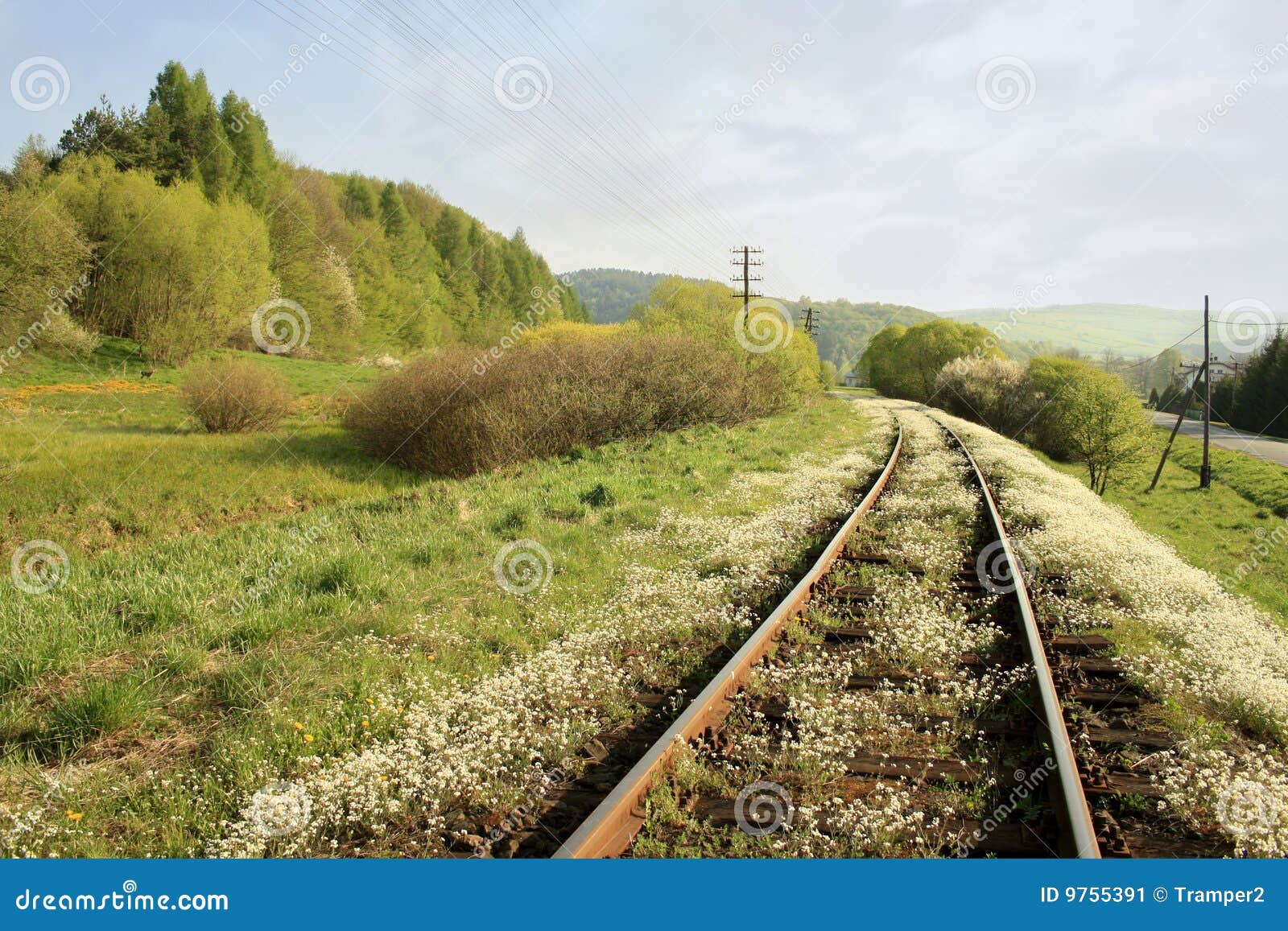 Spring railroad stock image. Image of flowers, covered - 9755391