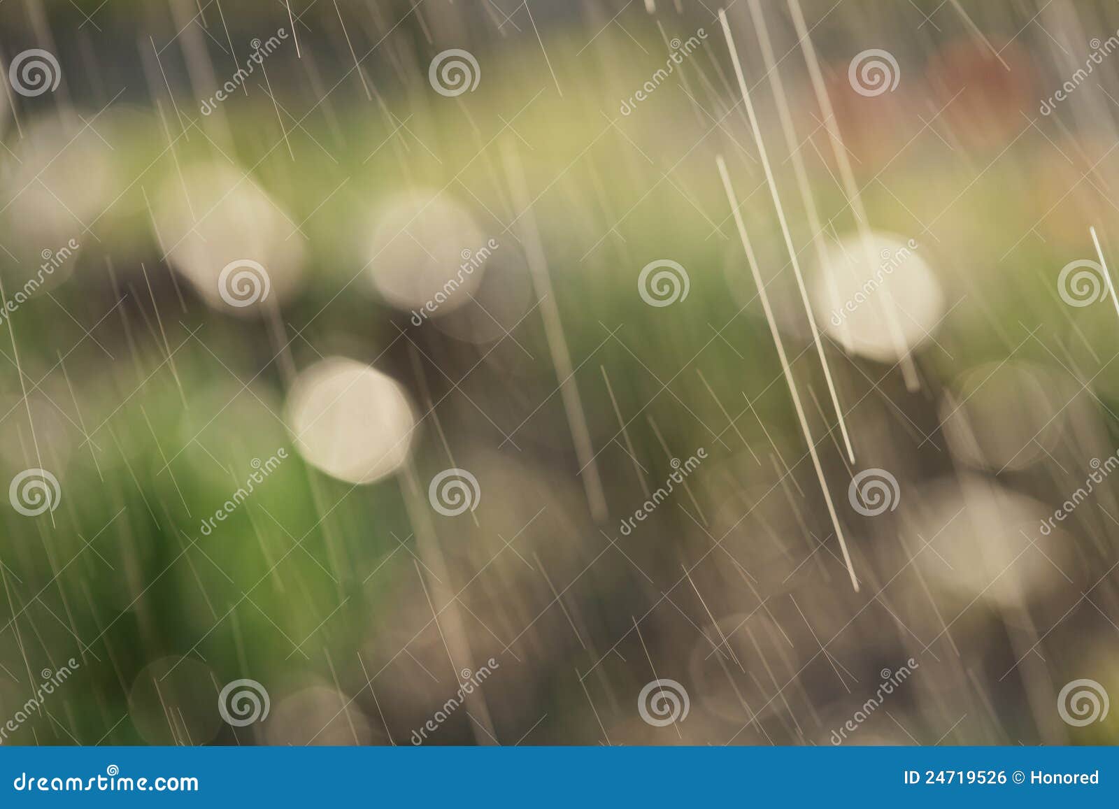 Spring rain in the garden stock photo. Image of blooming - 24719526
