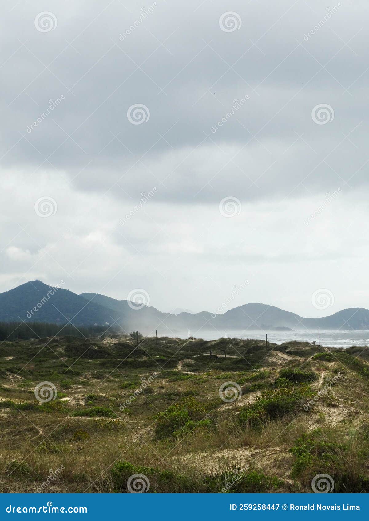 Spring rain landscape stock image. Image of coast, rain - 259258447