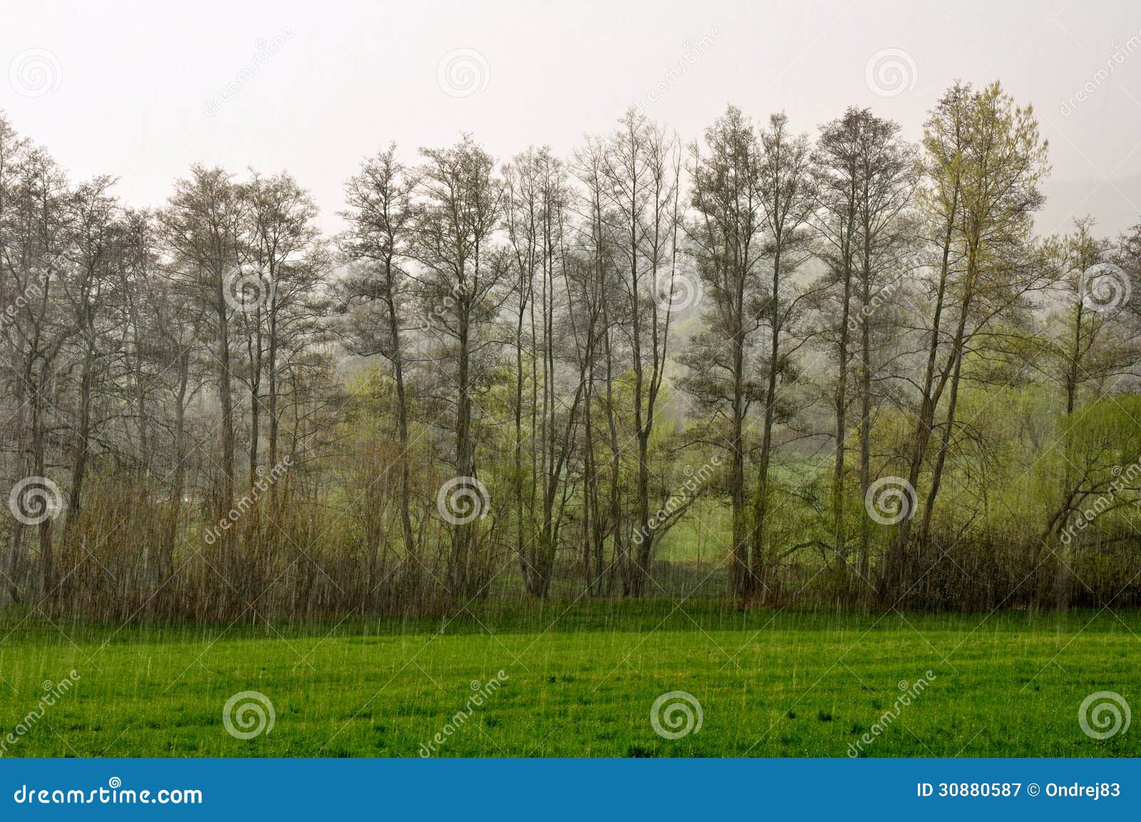 Spring rain stock image. Image of rural, fall, rain, concept - 30880587