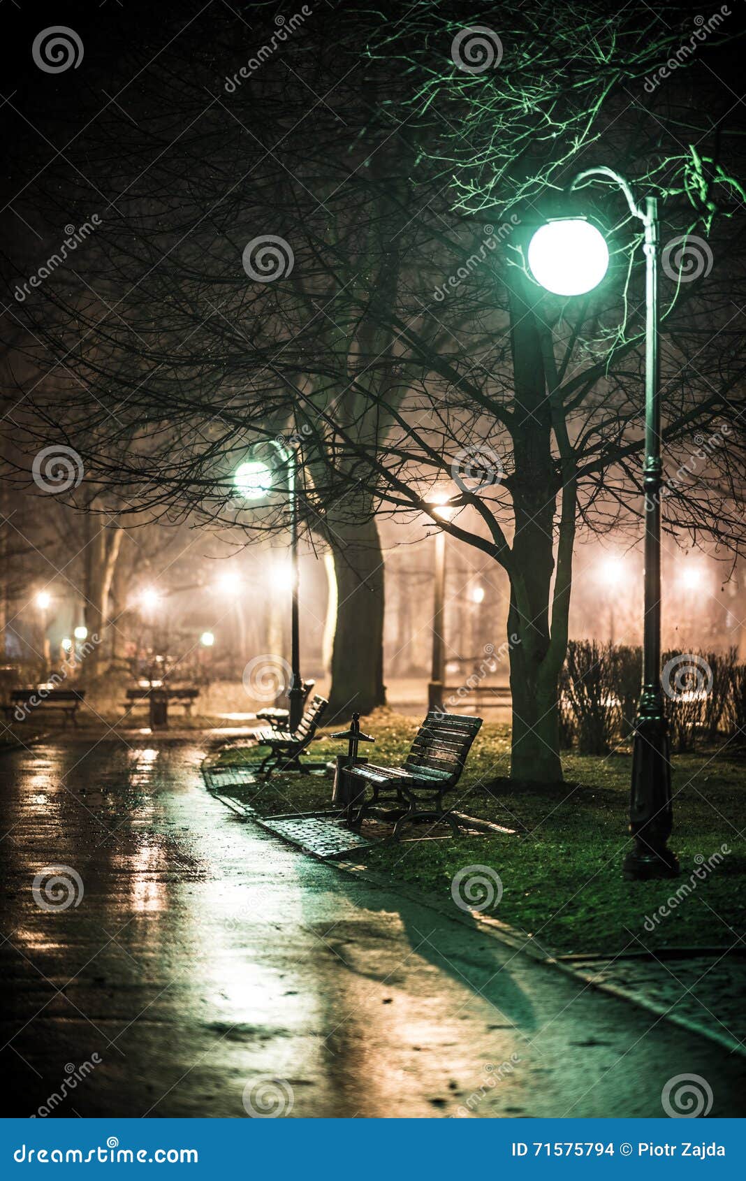 Spring Rain in the Park stock photo. Image of landscape - 71575794