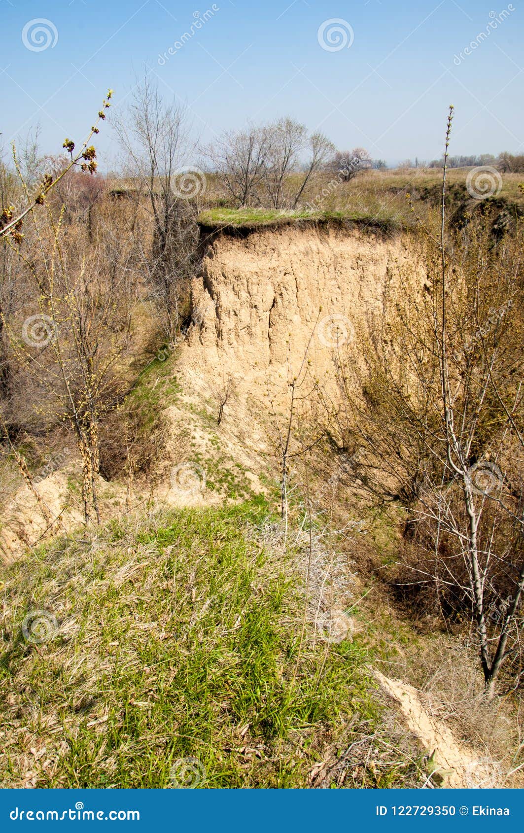 Spring ravine stock photo. Image of idyllic, plant, forest - 122729350