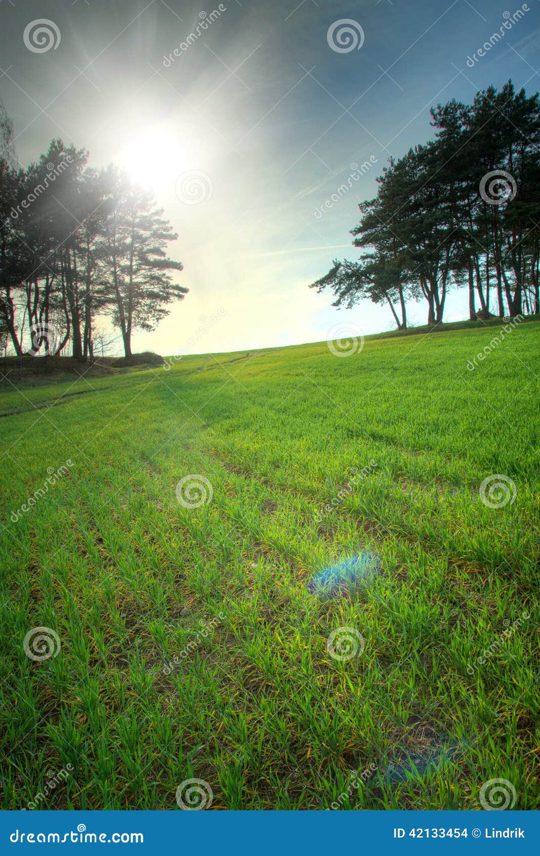 Spring rebirth of nature. stock photo. Image of beautiful - 42133454