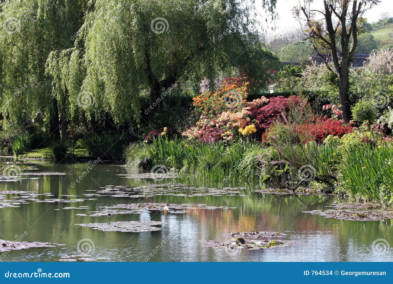 Spring reflections stock photo. Image of peaceful, tree - 764534