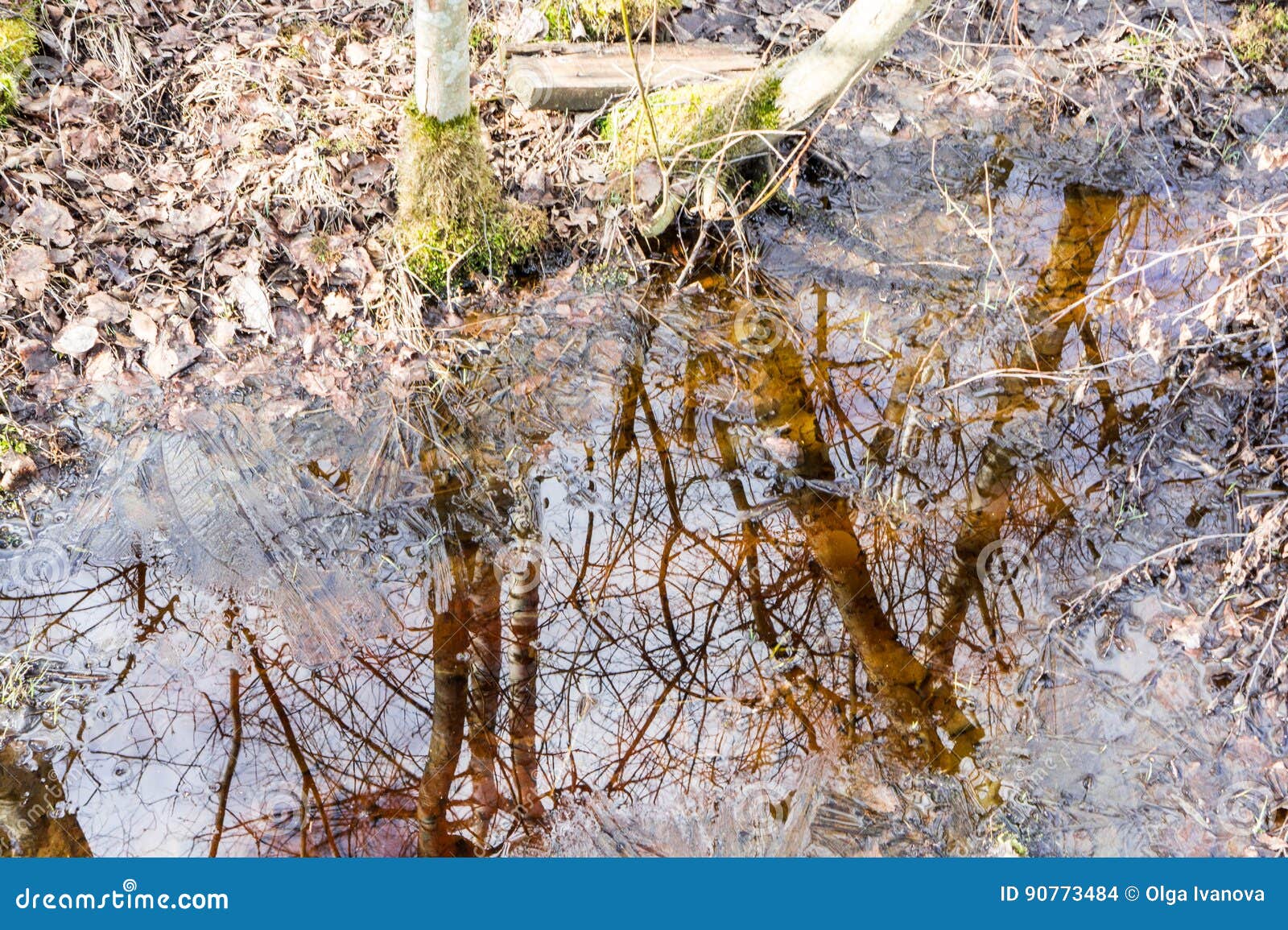 Spring reflections stock photo. Image of surface, pond - 90773484