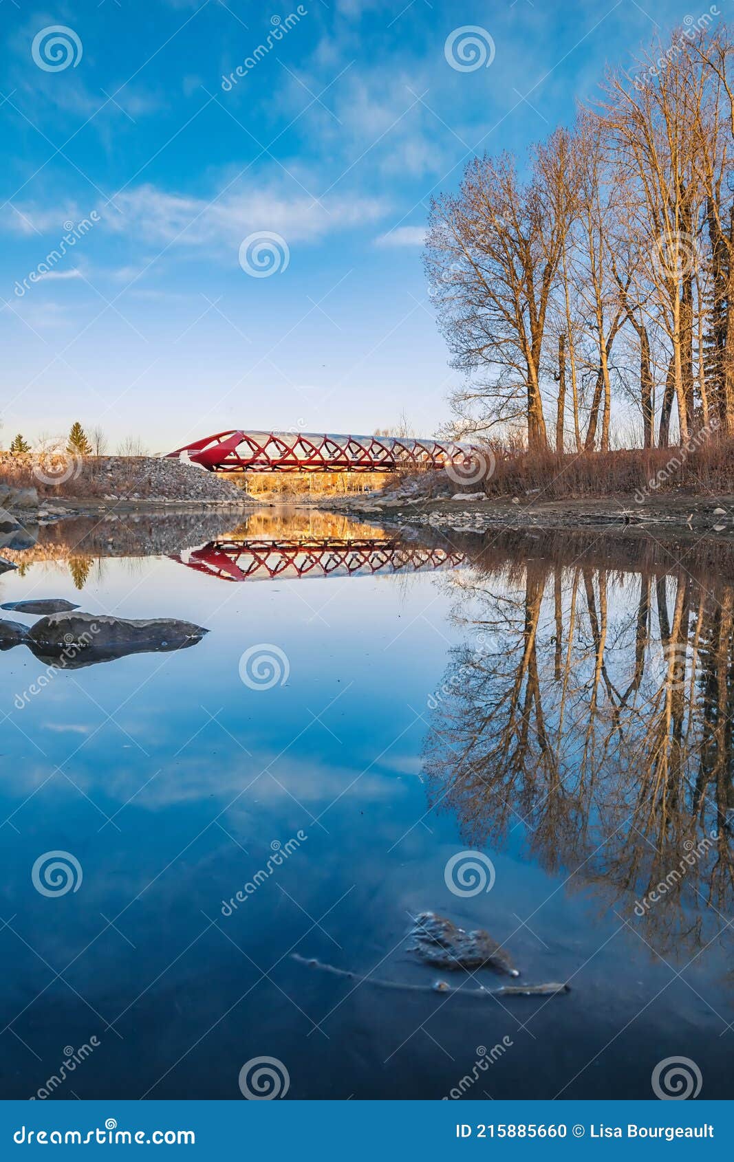 Spring Reflections by the Peace Bridge Editorial Image - Image of ...