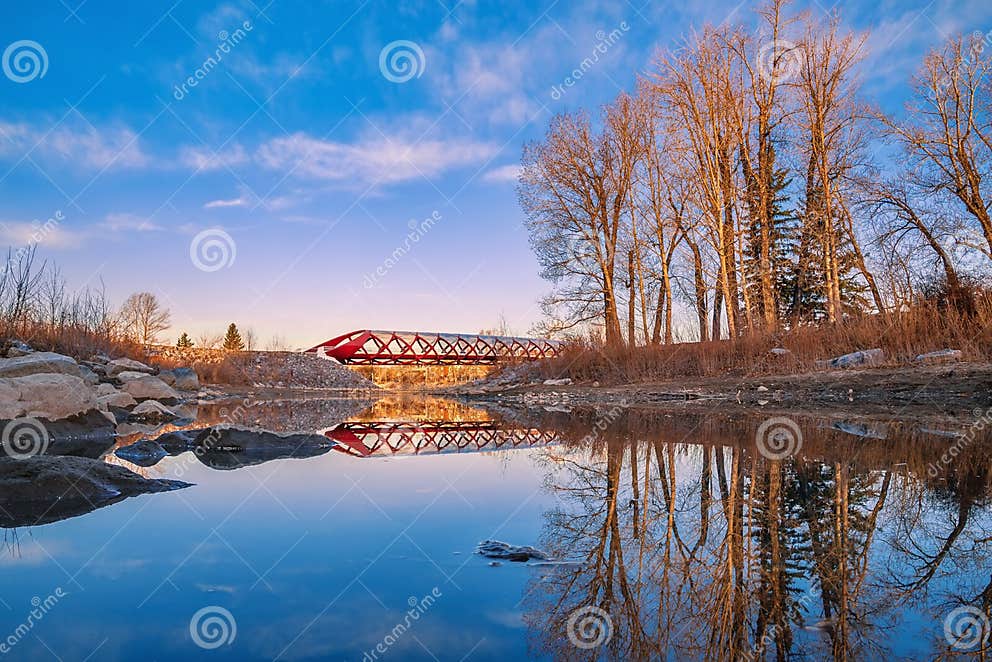 Spring Reflections by the Peace Bridge Editorial Photo - Image of ...