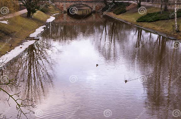 Spring reflections stock photo. Image of city, nature - 88793960