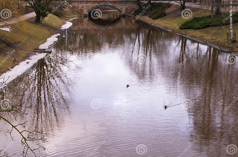 Spring reflections stock photo. Image of city, nature - 88793960
