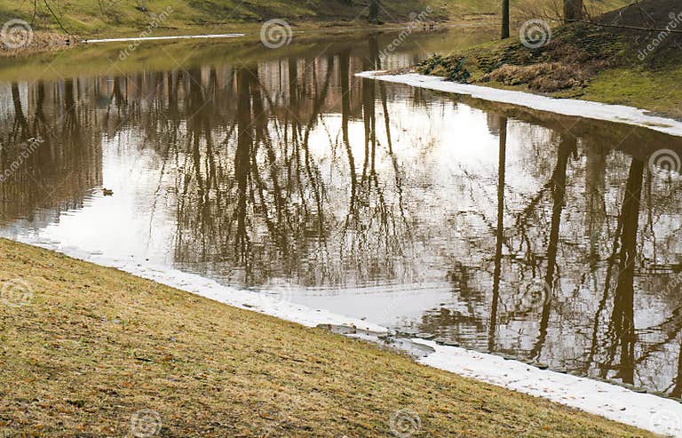 Spring reflections stock photo. Image of outdoors, early - 88793966