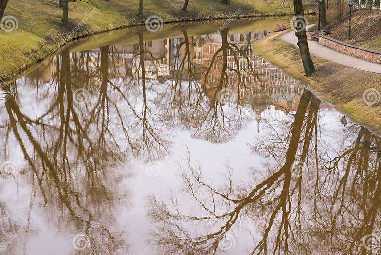 Spring reflections stock image. Image of outdoors, nature - 88793971