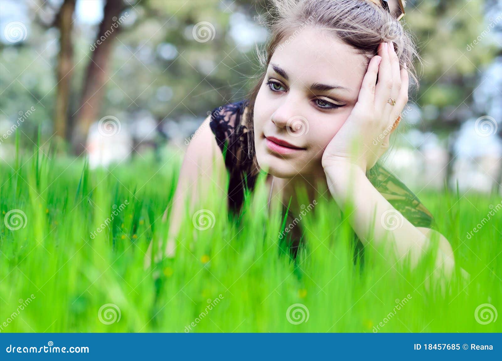 Spring relax stock image. Image of corn, forest, elegance - 18457685