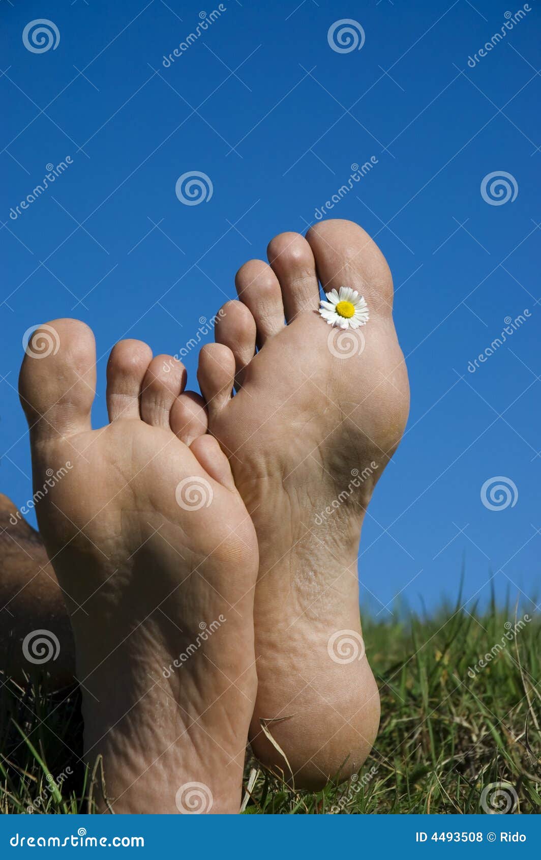 Spring relax stock photo. Image of copy, springtime, carefreness - 4493508