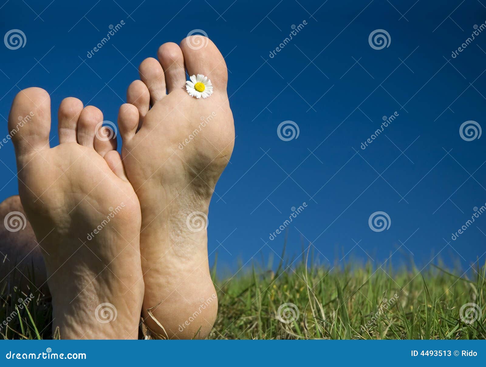 Spring relax stock image. Image of flower, carefreness - 4493513