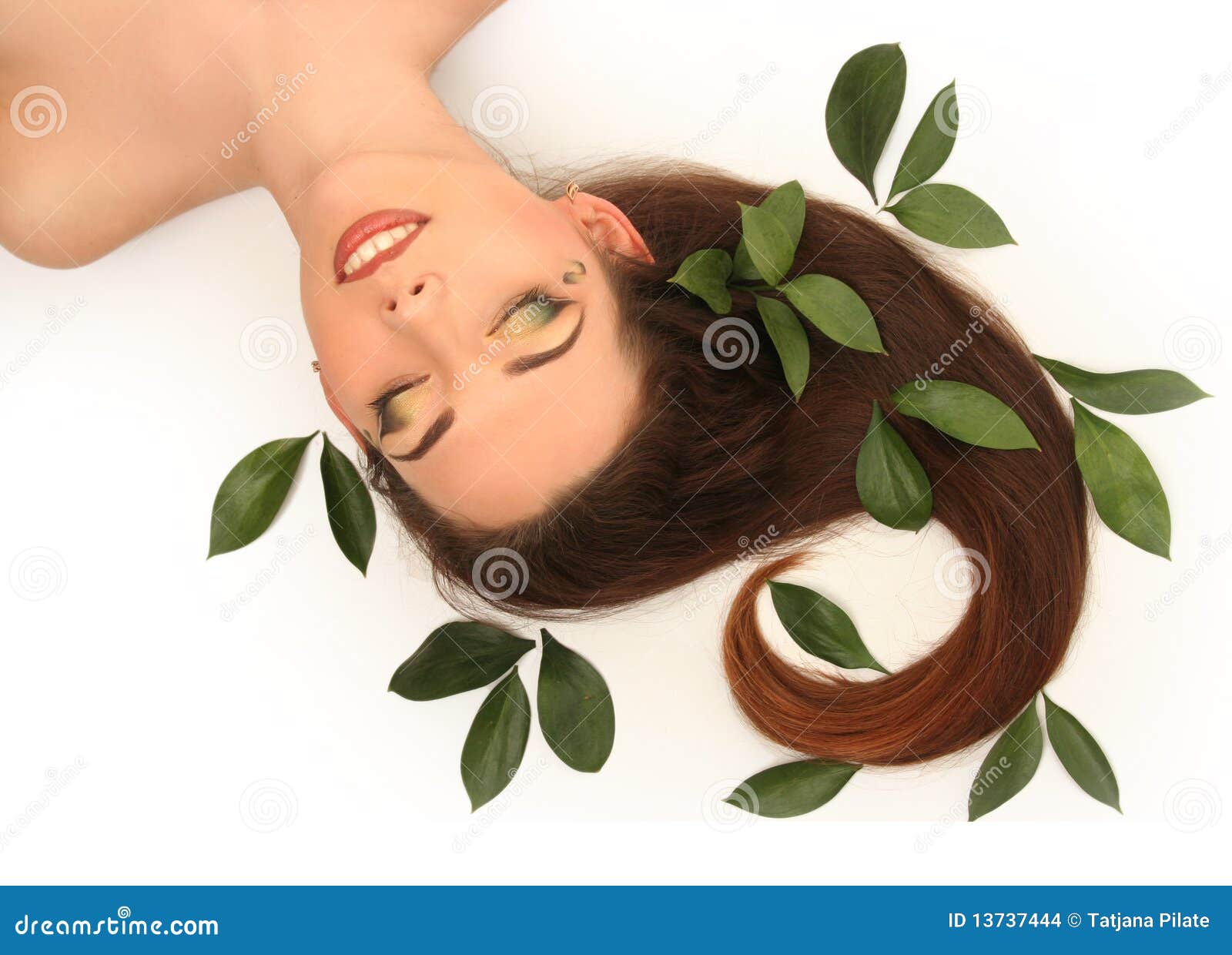 Spring rest stock photo. Image of herb, isolated, elegance - 13737444