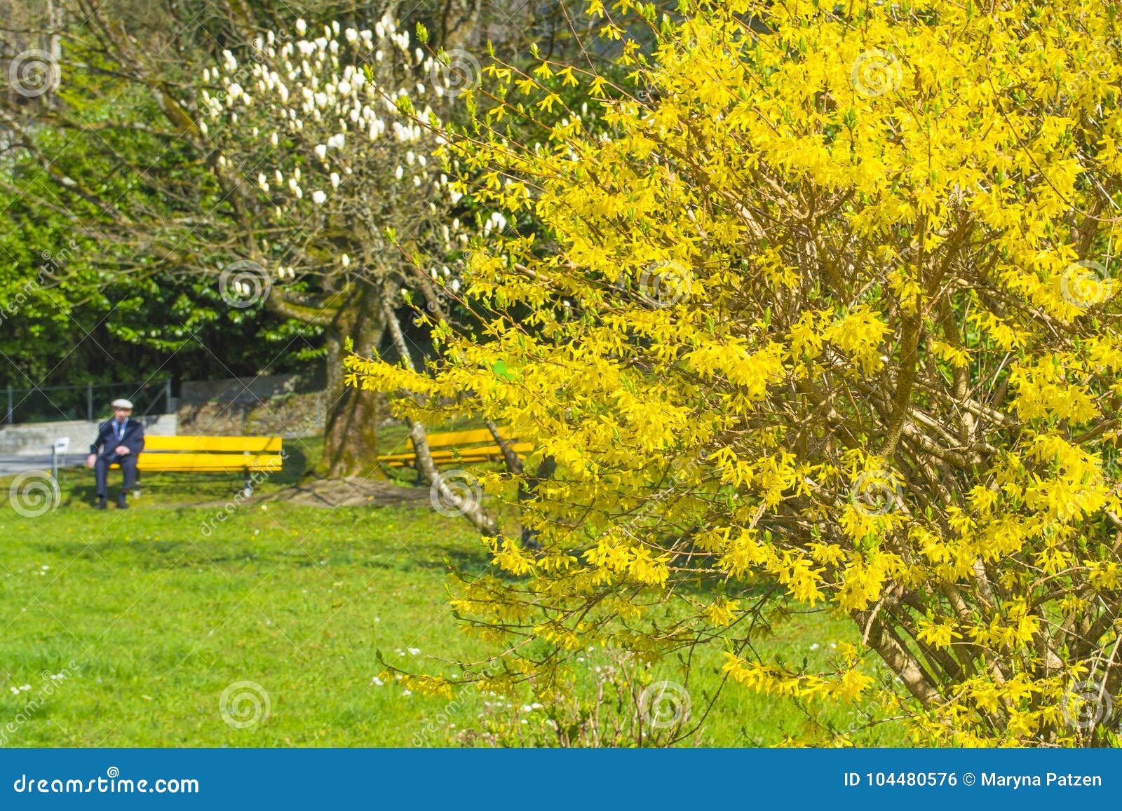 Spring revival time. stock photo. Image of blue, macro - 104480576