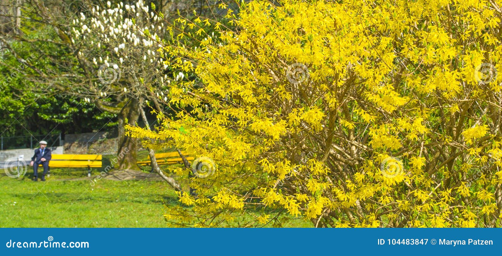 Spring revival time. stock image. Image of background - 104483847