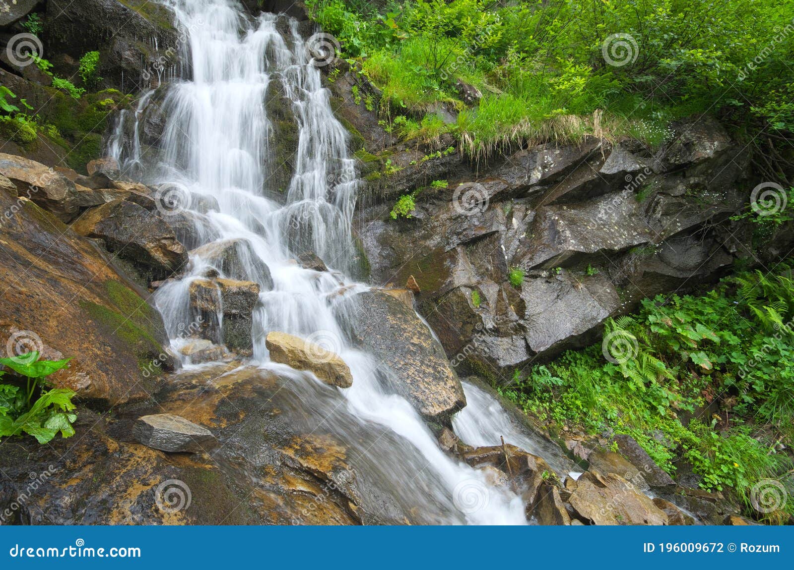 Spring Rill Flow in Mountain Stock Photo - Image of leaf, natural ...