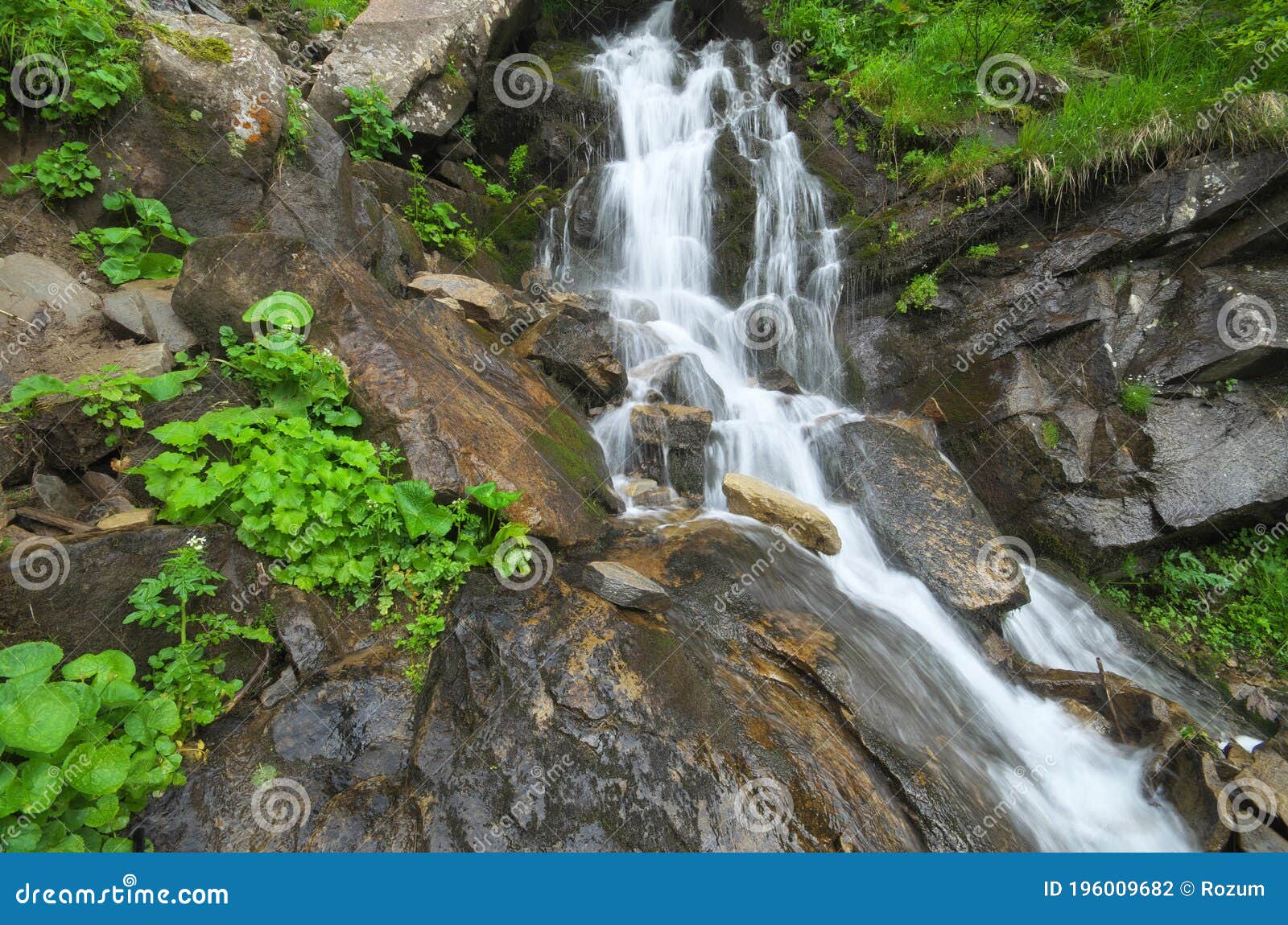 Spring Rill Flow in Mountain Stock Photo - Image of forest, peaceful ...