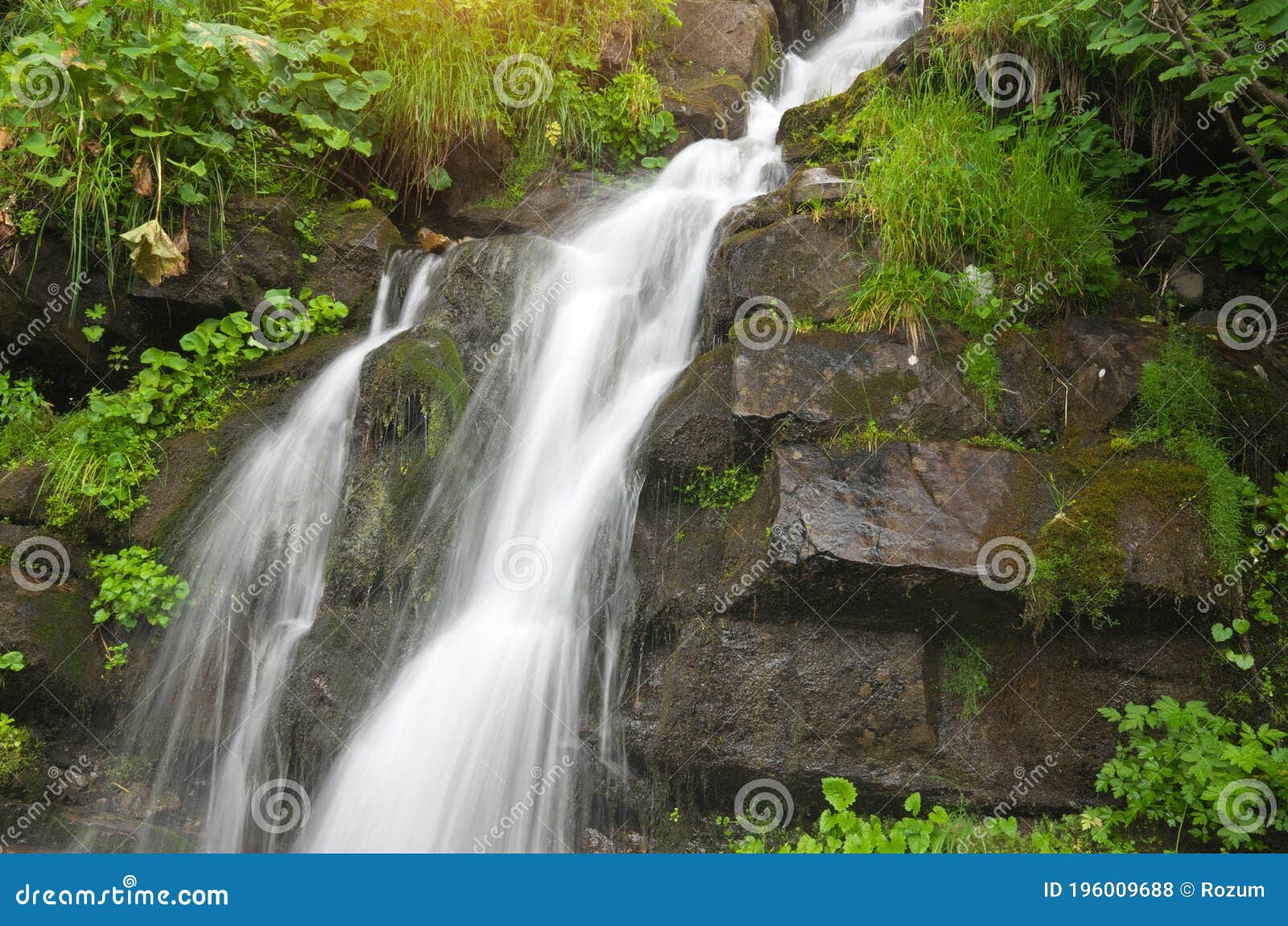 Spring Rill Flow in Mountain Stock Photo - Image of moss, scenery ...