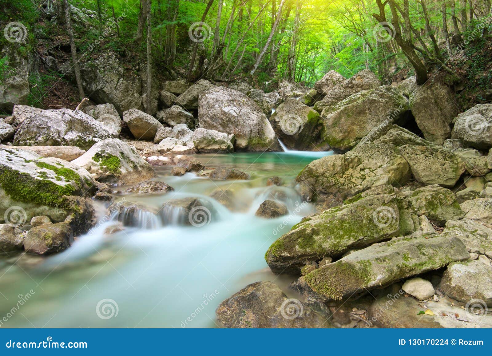 Spring rill flow. stock photo. Image of leaf, river - 130170224