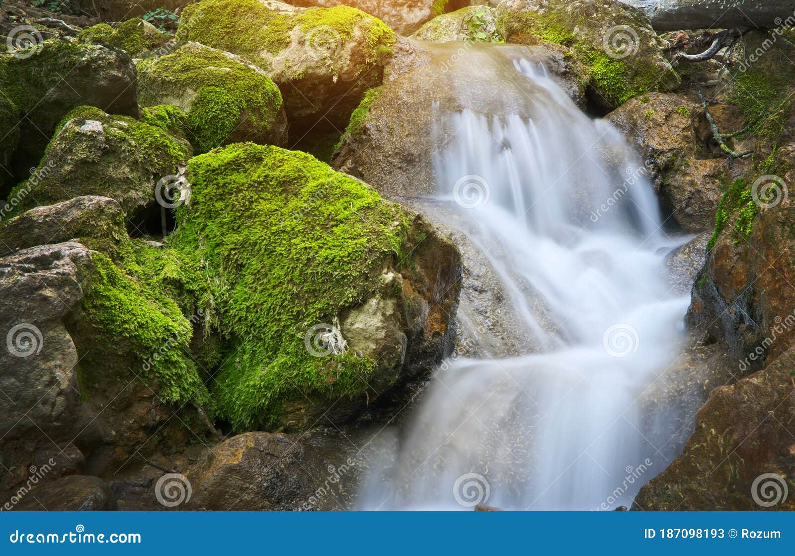 Spring rill flow stock image. Image of flow, green, plant - 187098193