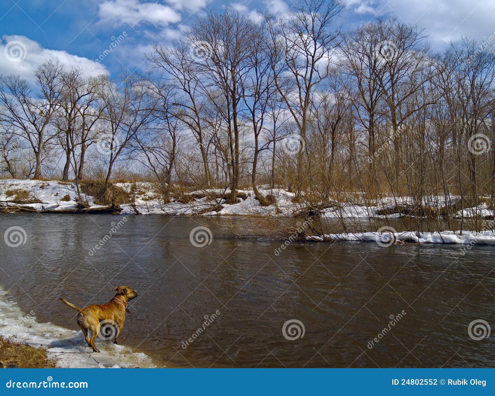 The spring river stock photo. Image of warm, landscape - 24802552