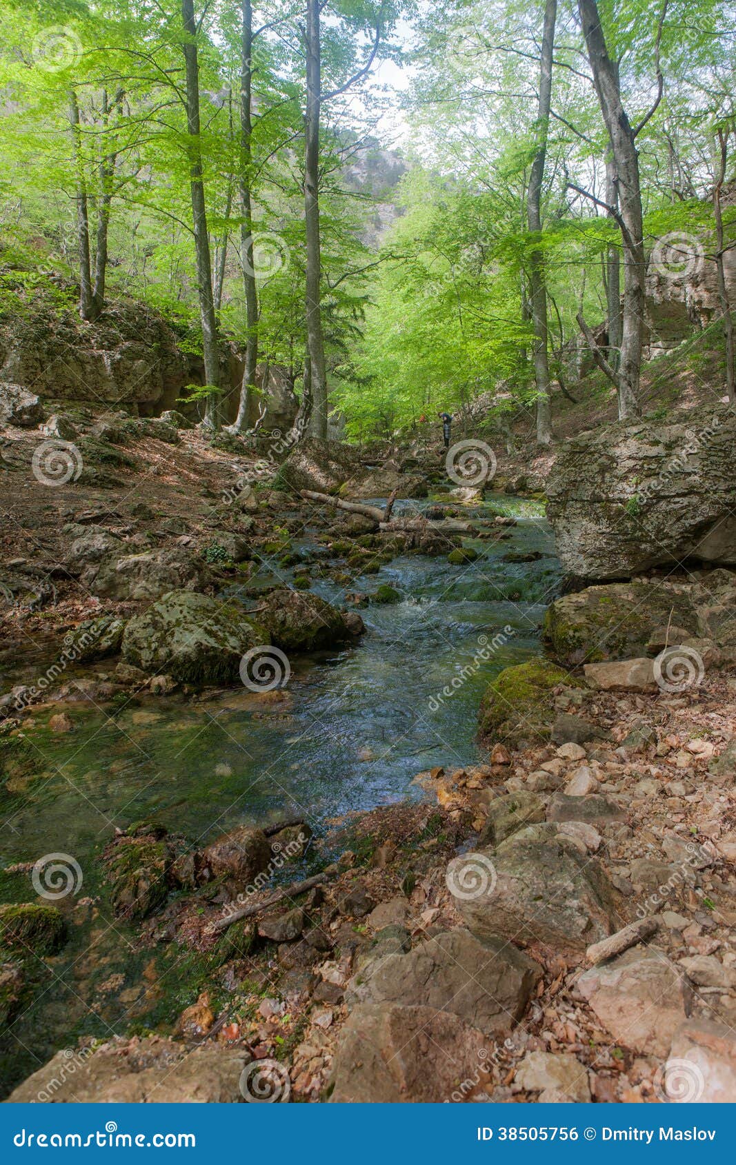 Spring river stock photo. Image of river, stone, season - 38505756