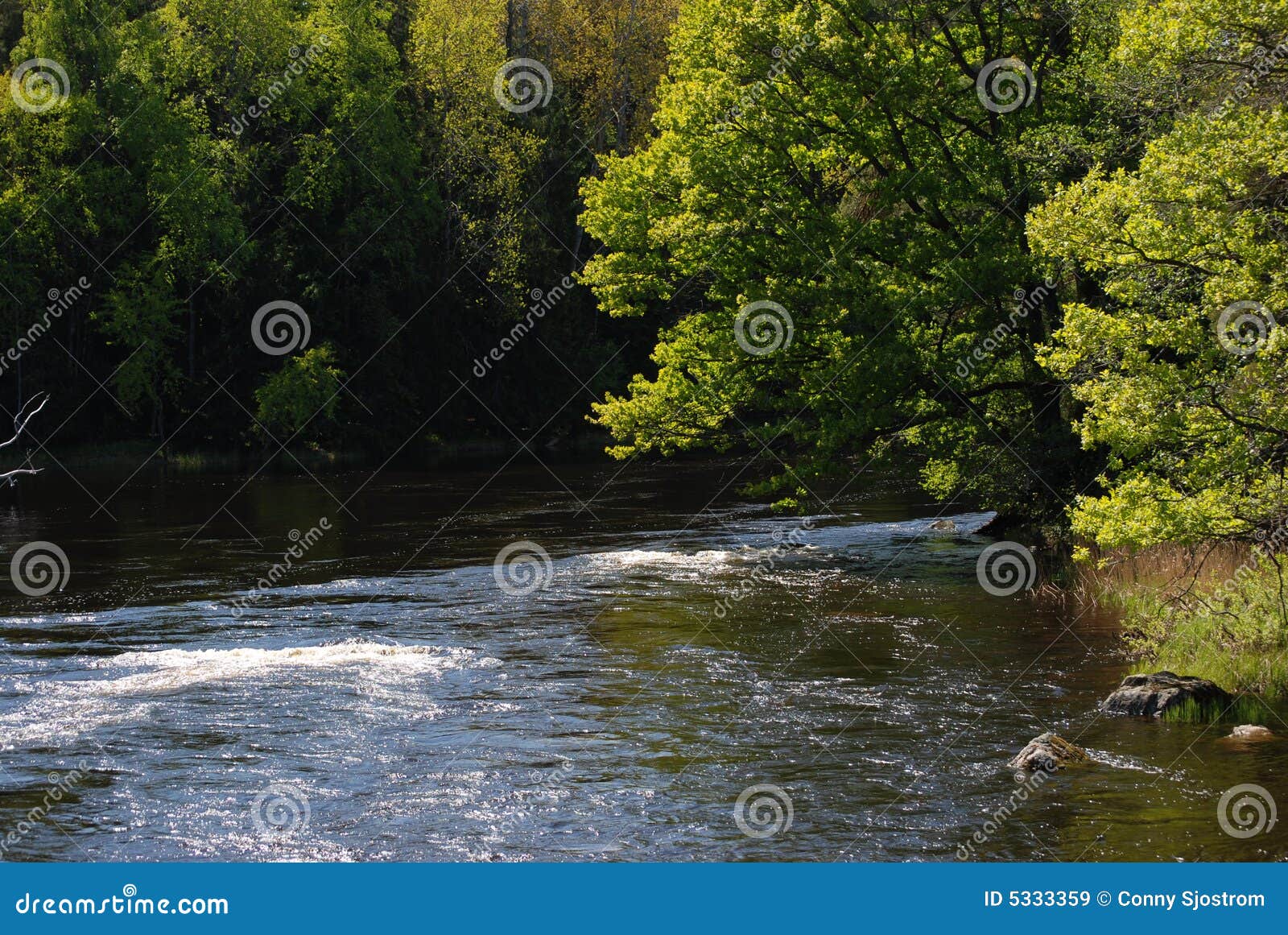 Spring River stock image. Image of beautiful, water, flowing - 5333359
