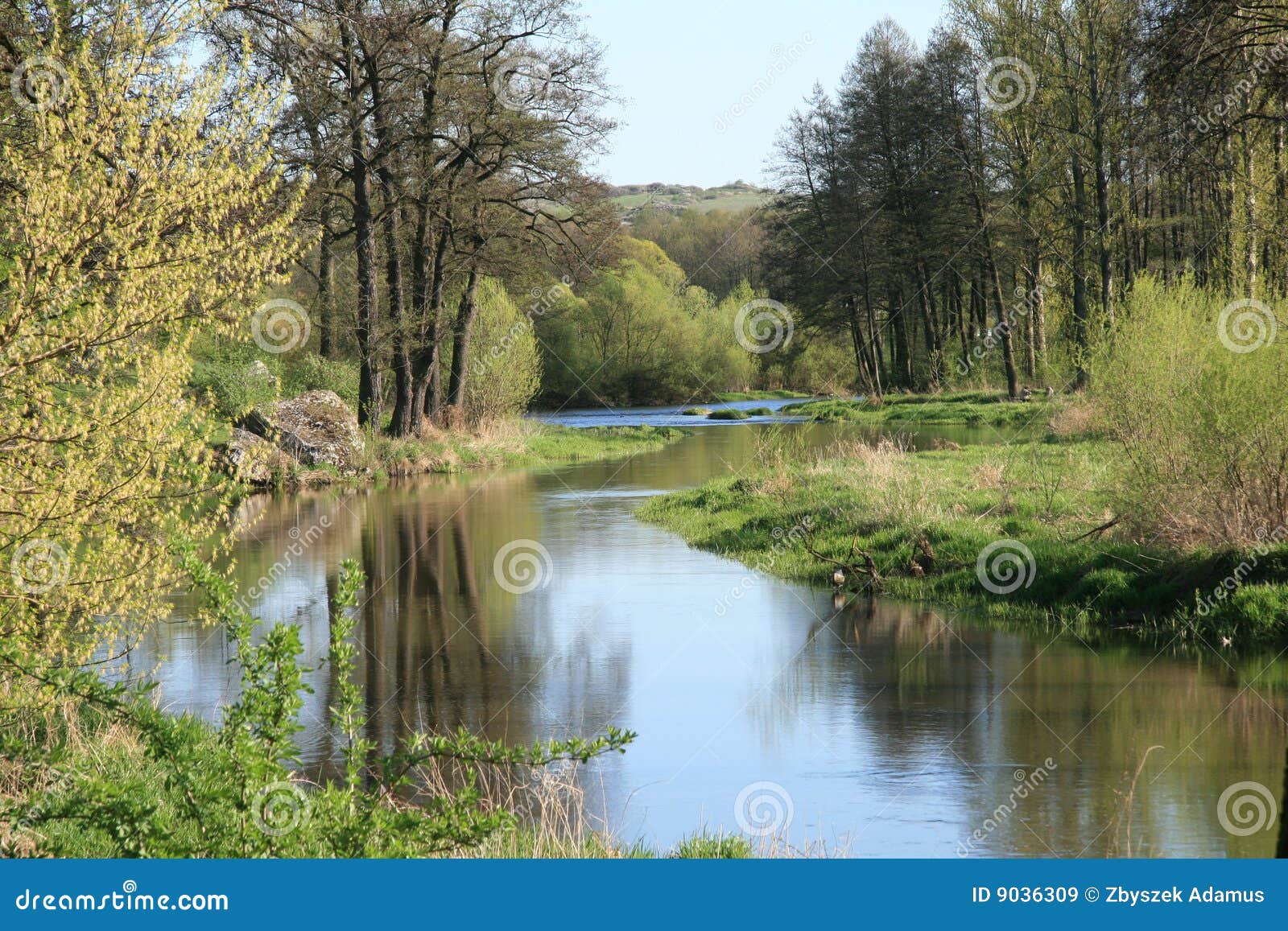 Spring River stock image. Image of nature, bushes, trees - 9036309