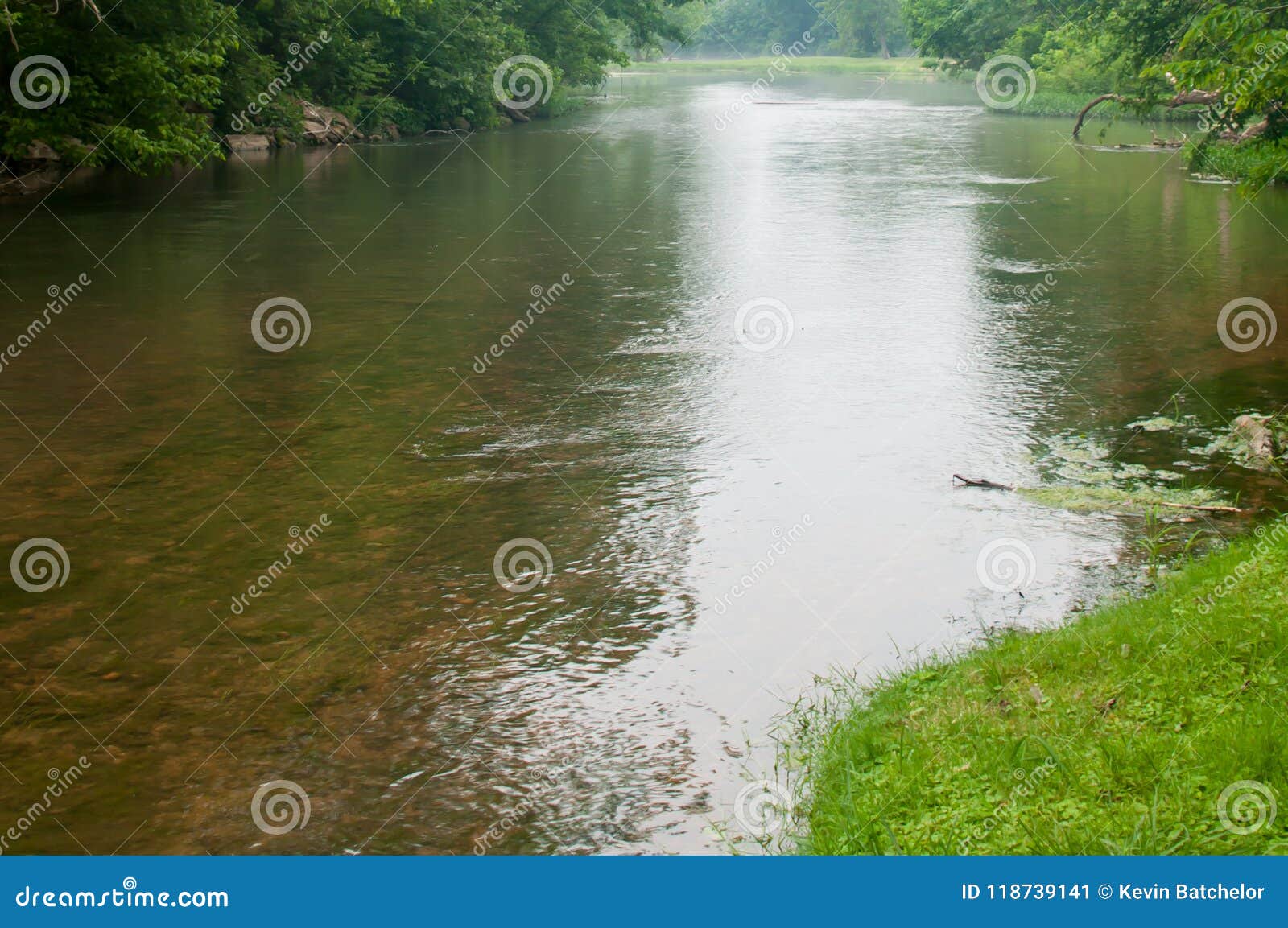 Spring River Flows Past Trees Stock Image - Image of picturesque ...