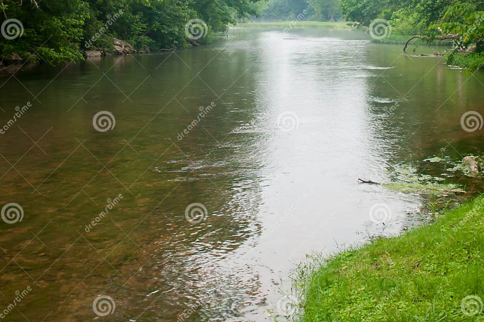 Spring River Flows Past Trees Stock Image - Image of picturesque ...