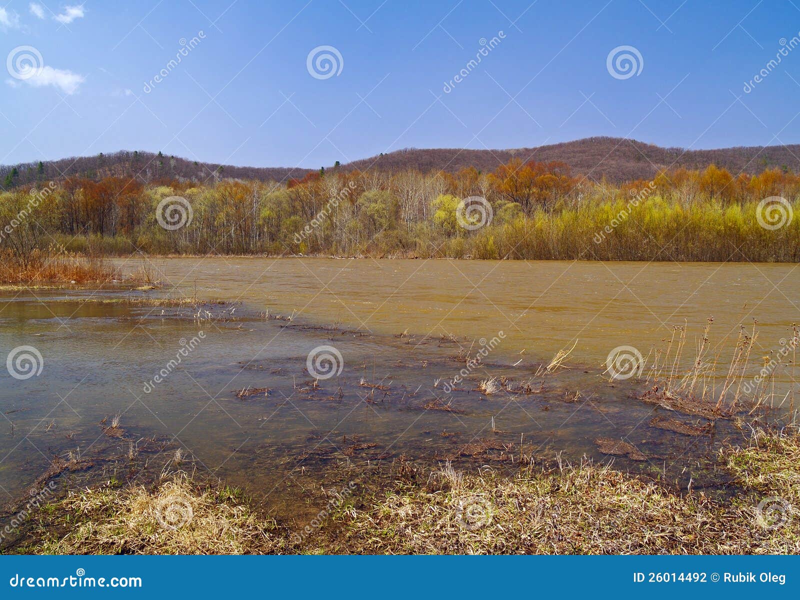 In the Spring on River Bank Stock Photo - Image of high, water: 26014492