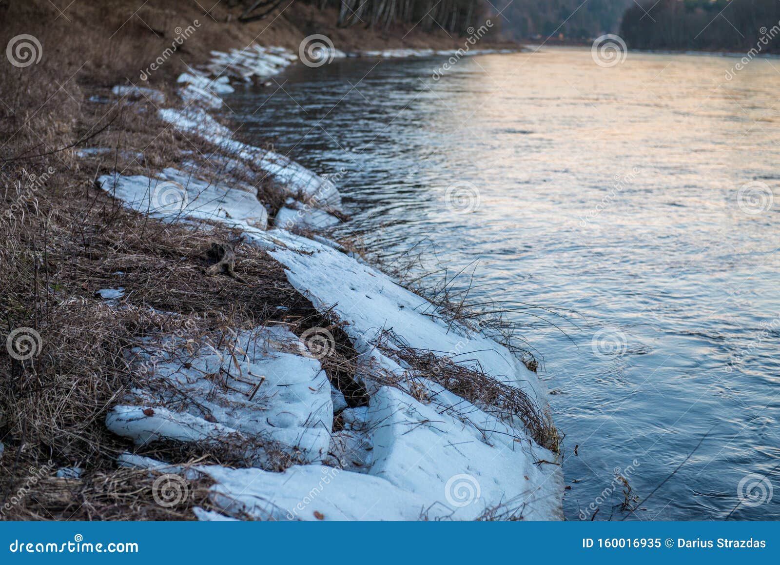 Spring river bank stock image. Image of tree, water - 160016935