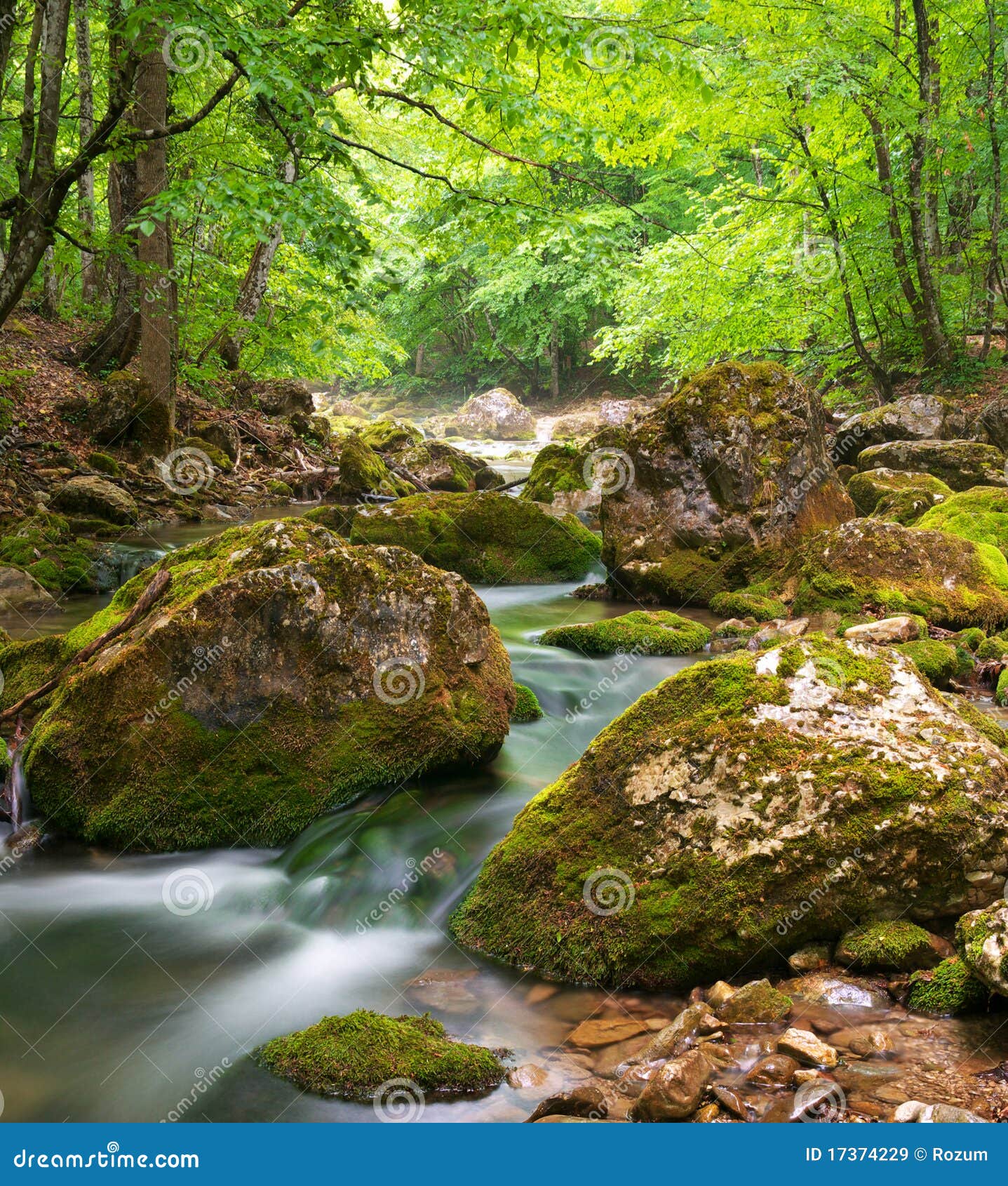 Spring River And Fast Current Stock Photo | CartoonDealer.com #140654916