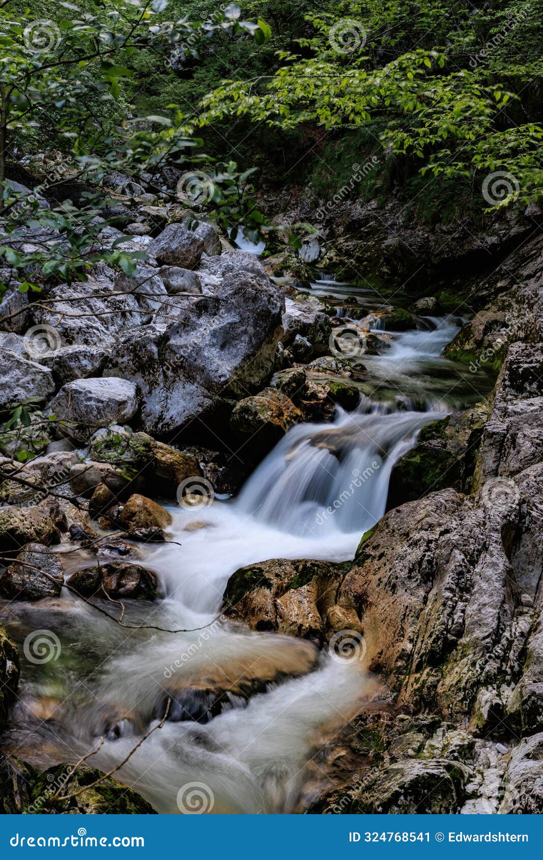 Spring River in Canyon. Nature Composition Stock Image - Image of earth ...