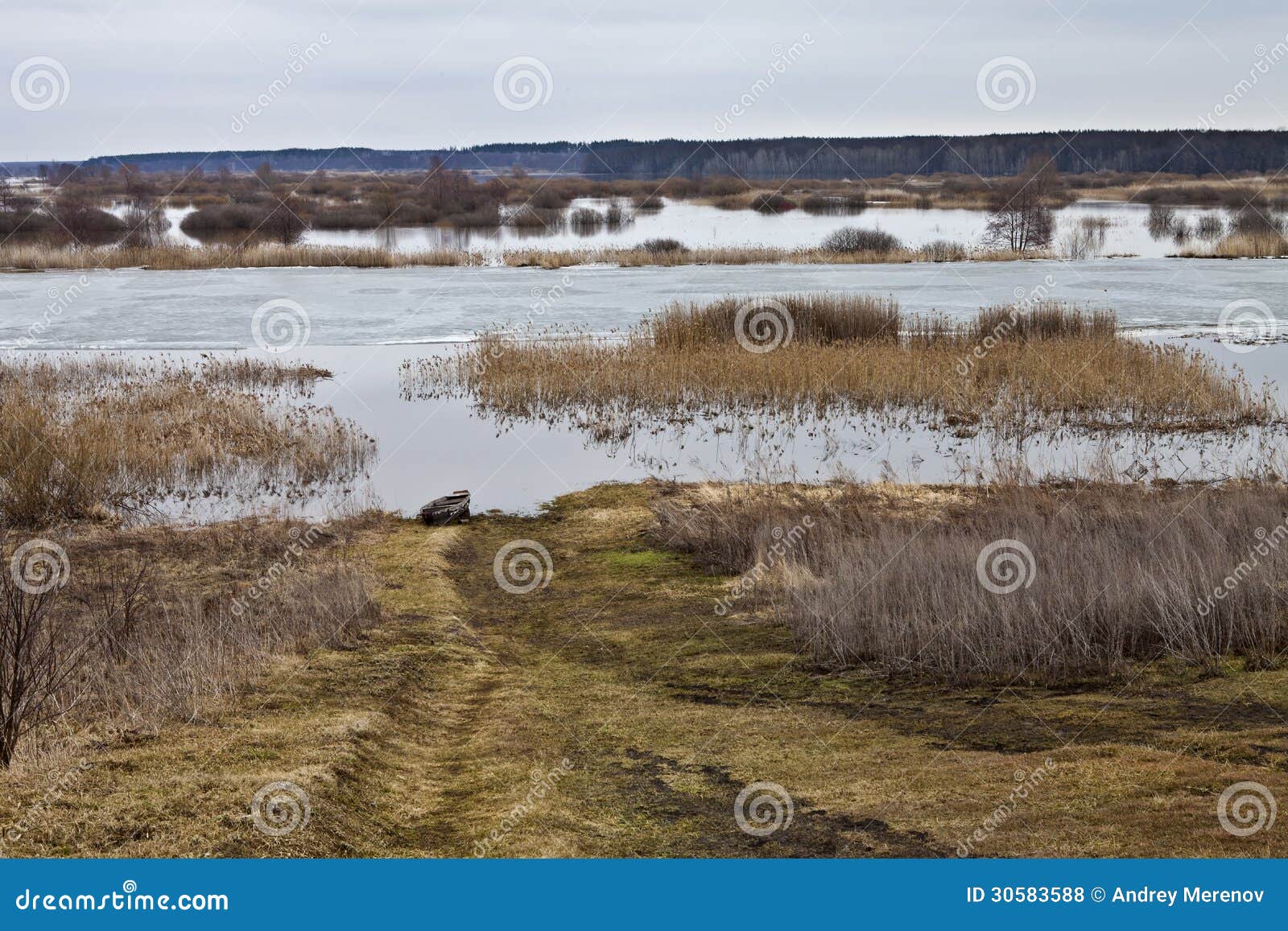 Spring river stock photo. Image of spring, reeds, wooden - 30583588