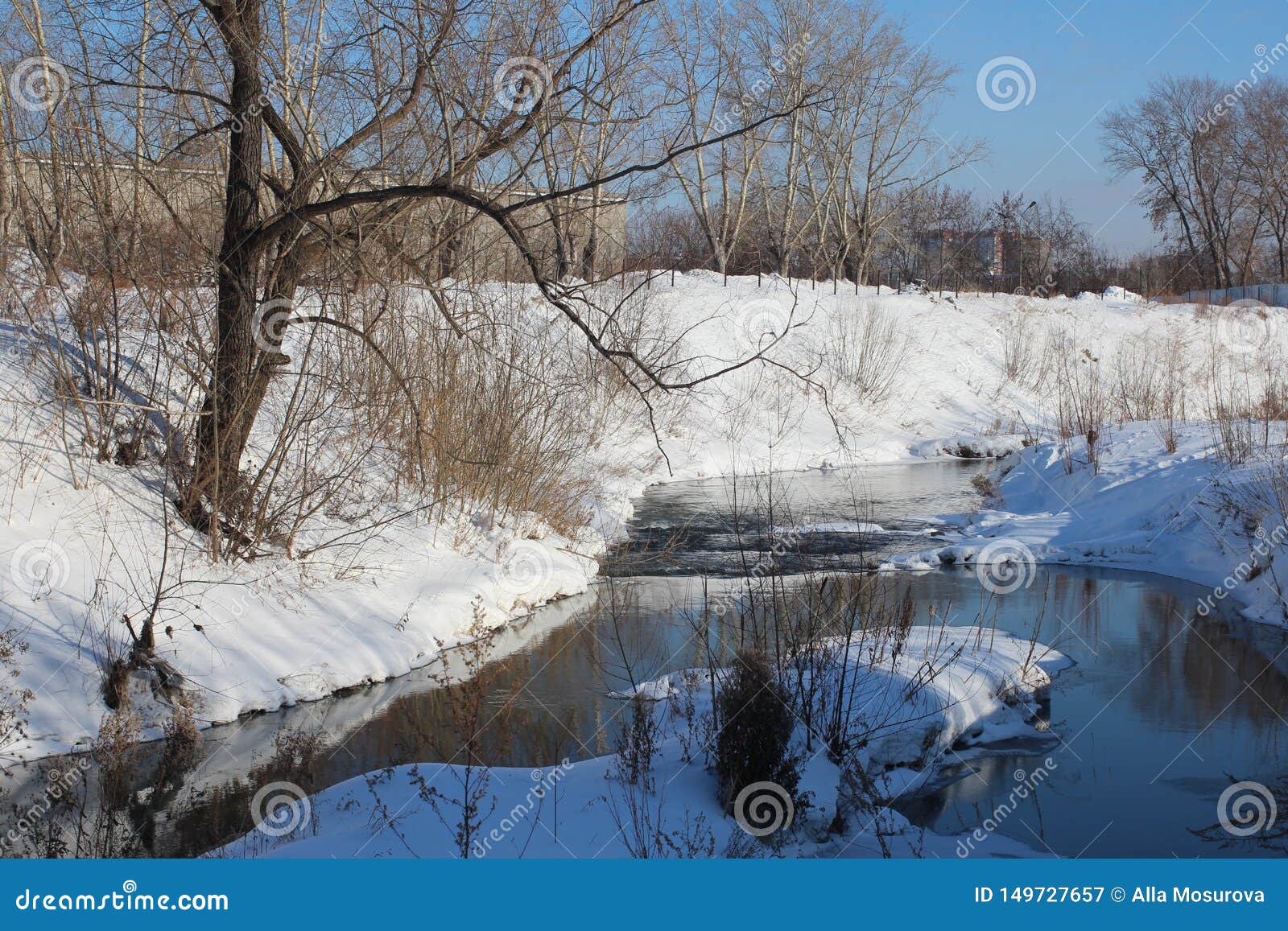 The Spring River Flows Had Melted through the Snow in March Stock Image ...