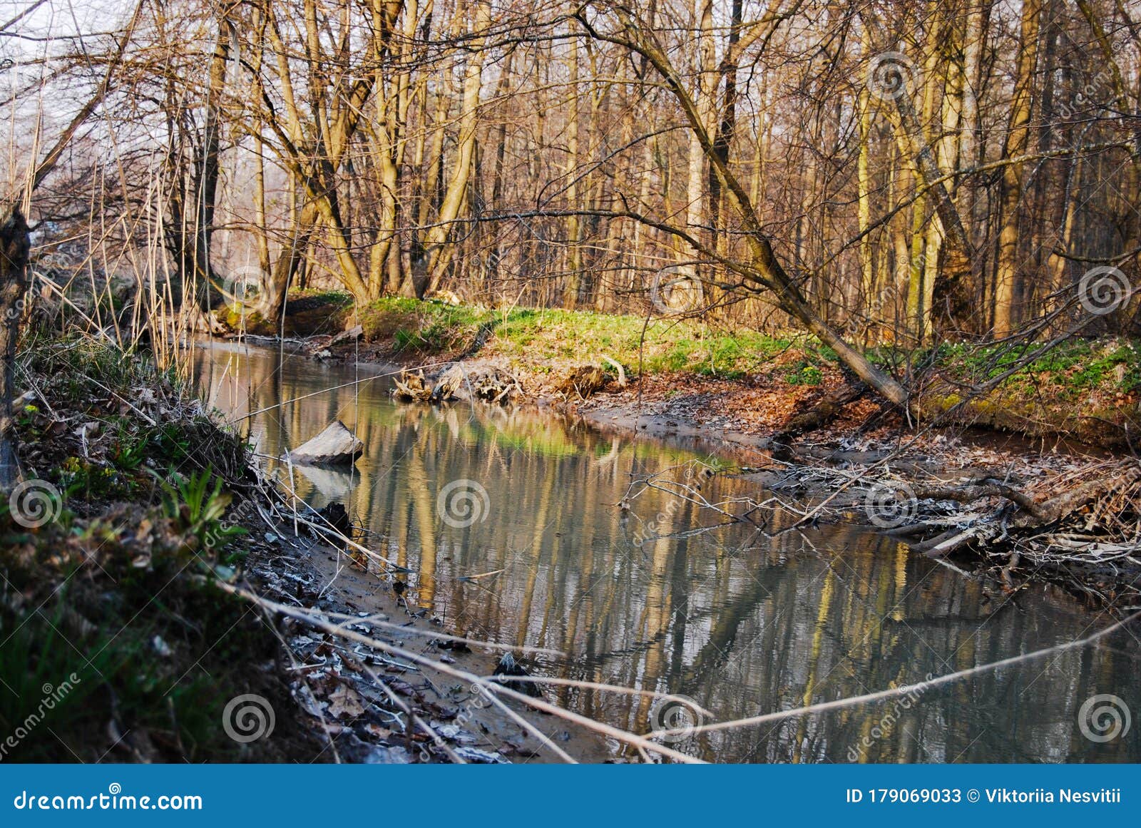 Spring river in the forest stock image. Image of beauty - 179069033