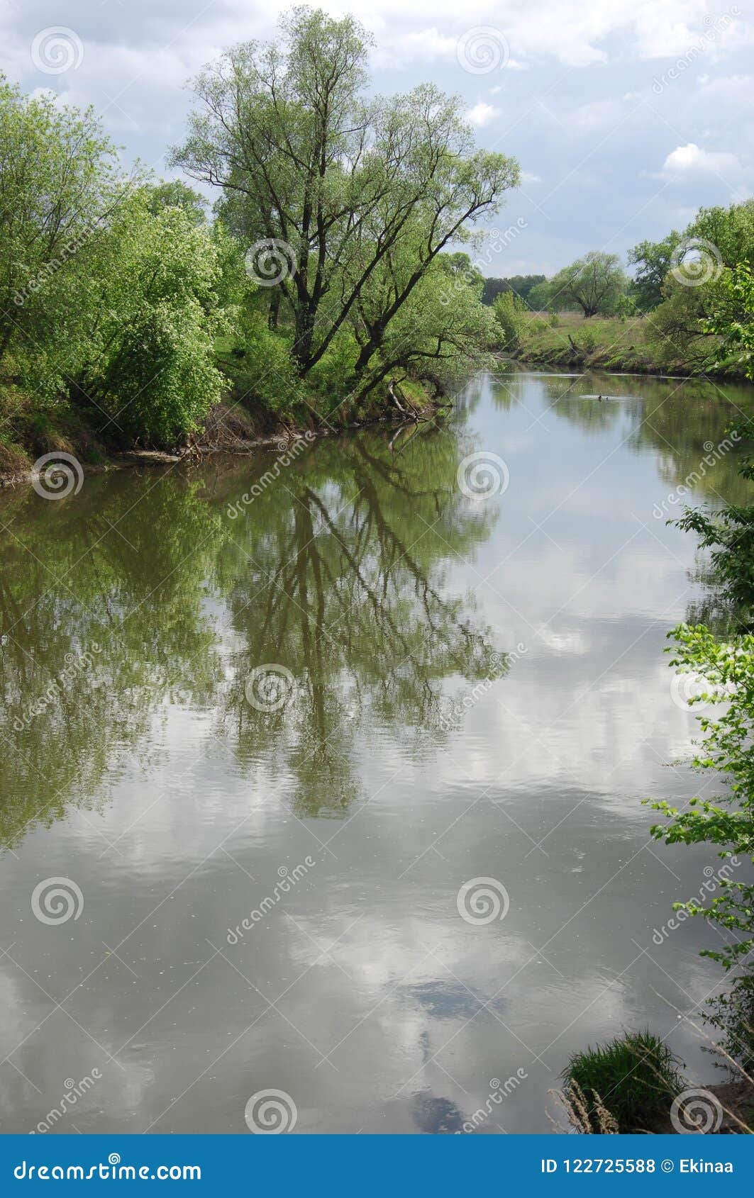 Spring river stock photo. Image of meadow, cloudscape - 122725588