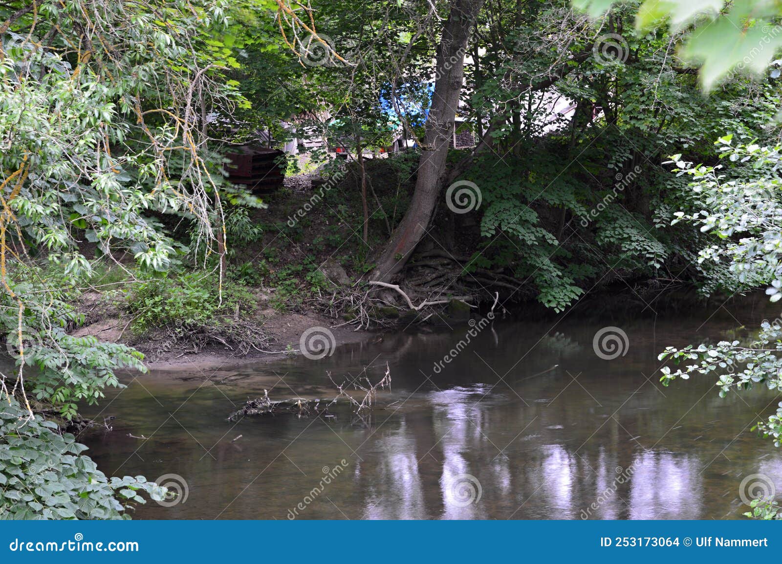 Spring at the River Ilm in the Resort Bad Berka, Thuringia Stock Photo ...