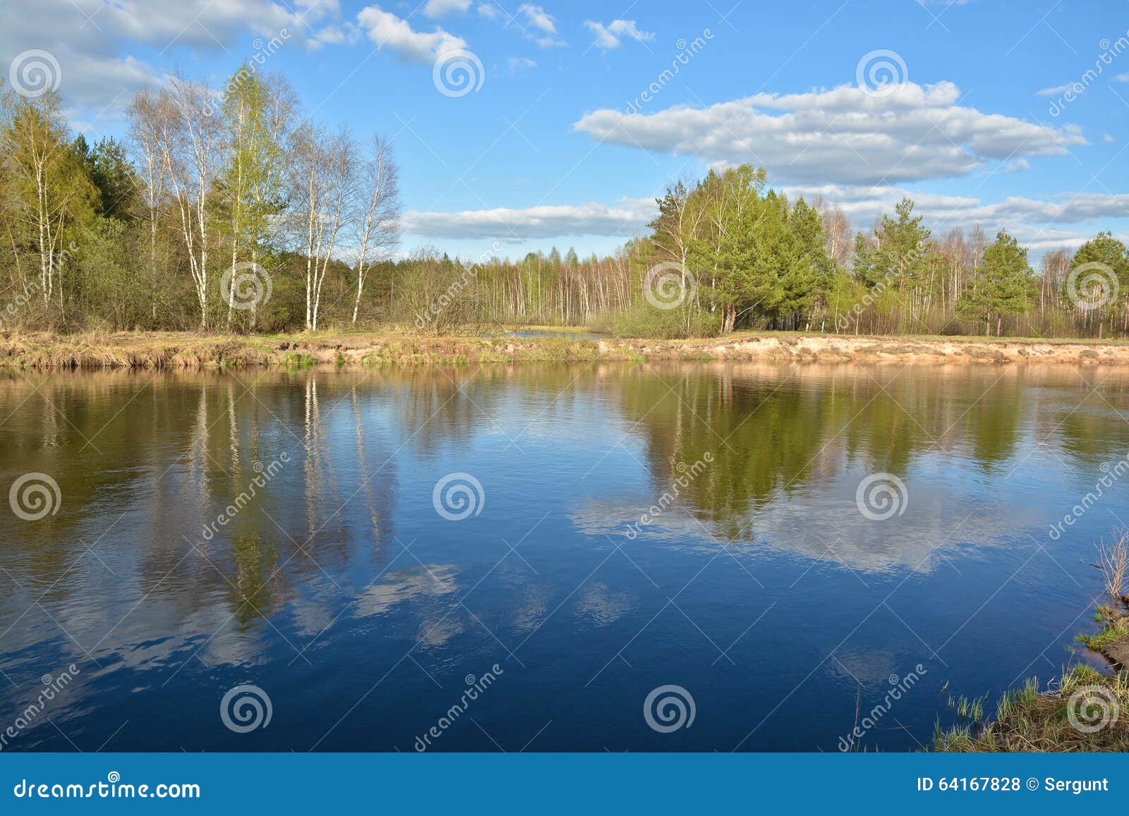 Spring on the river. stock photo. Image of meadow, outdoors - 64167828