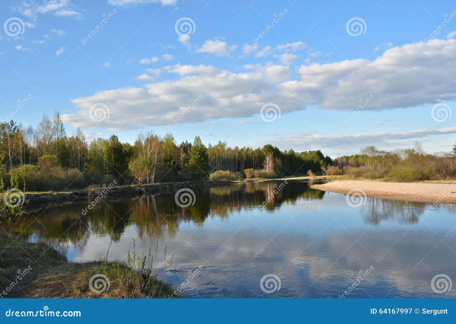 Spring on the river. stock image. Image of plant, season - 64167997