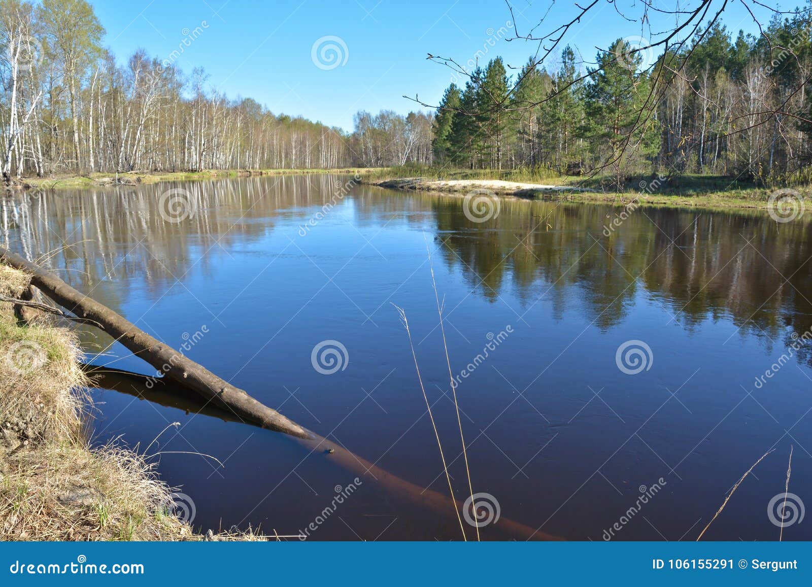 Spring river landscape. stock image. Image of colored - 106155291