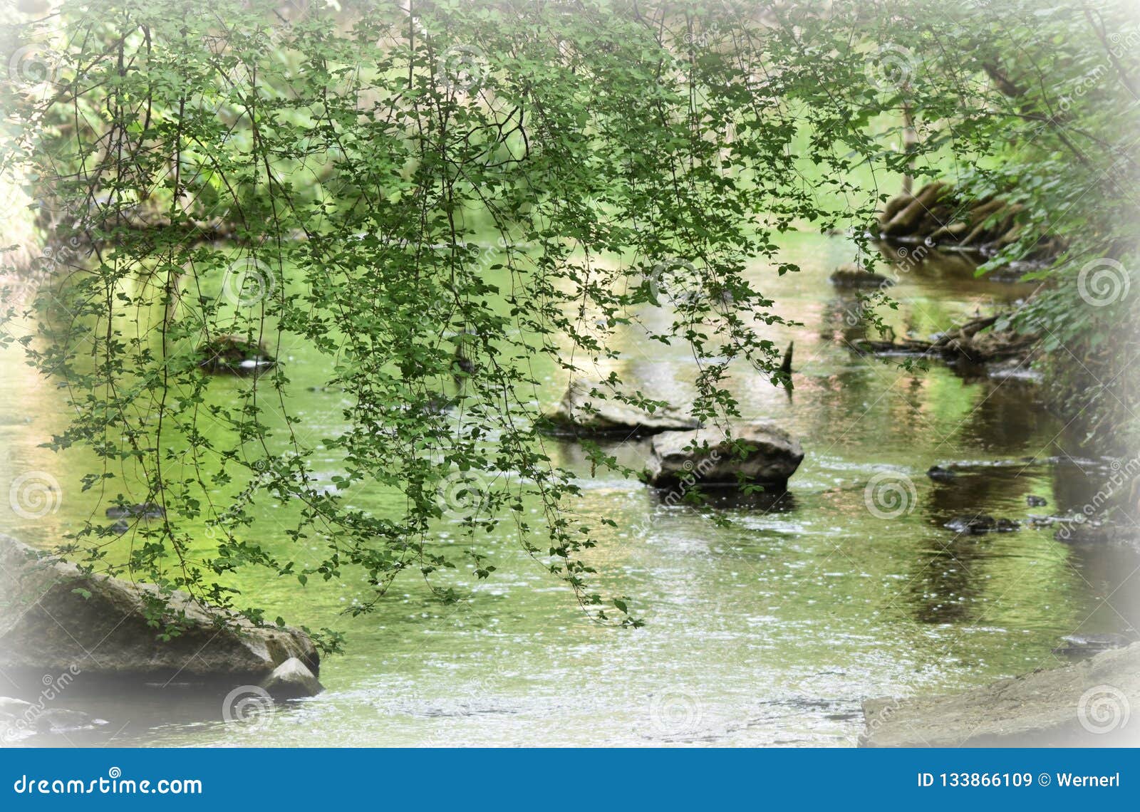 Spring at the River stock image. Image of rural, sunlight - 133866109